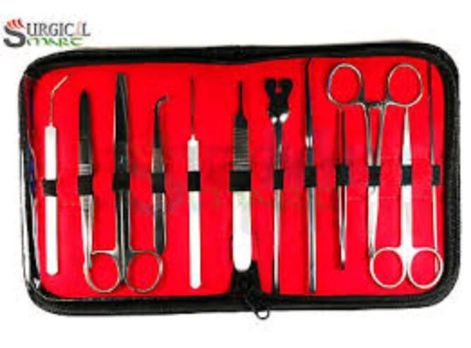 Student Lab Anatomy Dissection Kit by Scantrik - Market Hub Nigeria