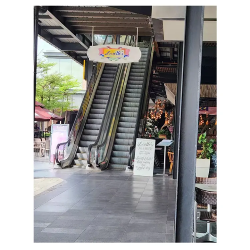30 Degree Gradient Indoor Escalator by Home lift elevator - Market Hub ...